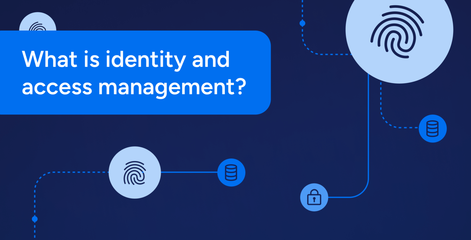 What is identity and access management [2025 guide] - Veza