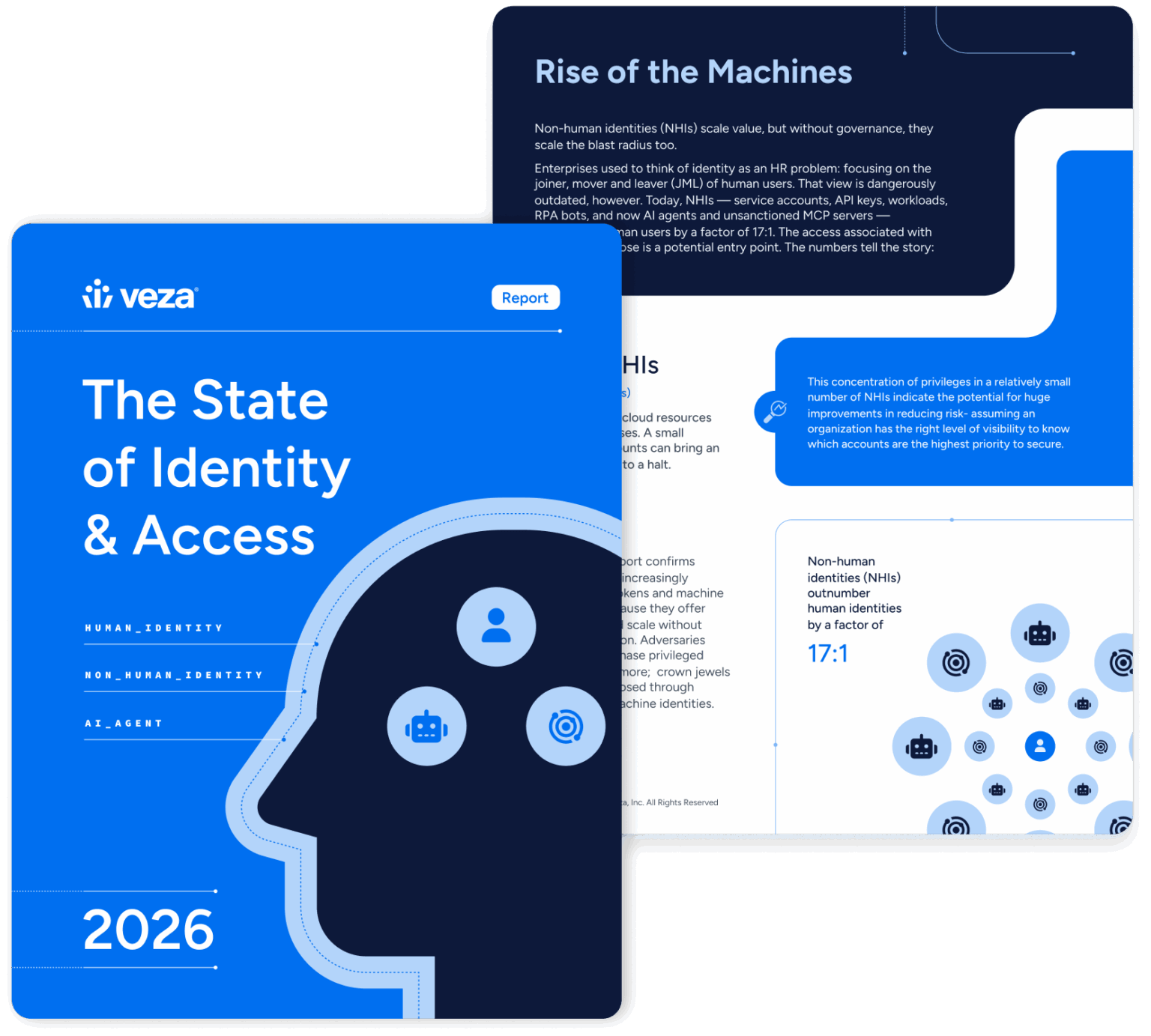Veza - The Identity Security Platform