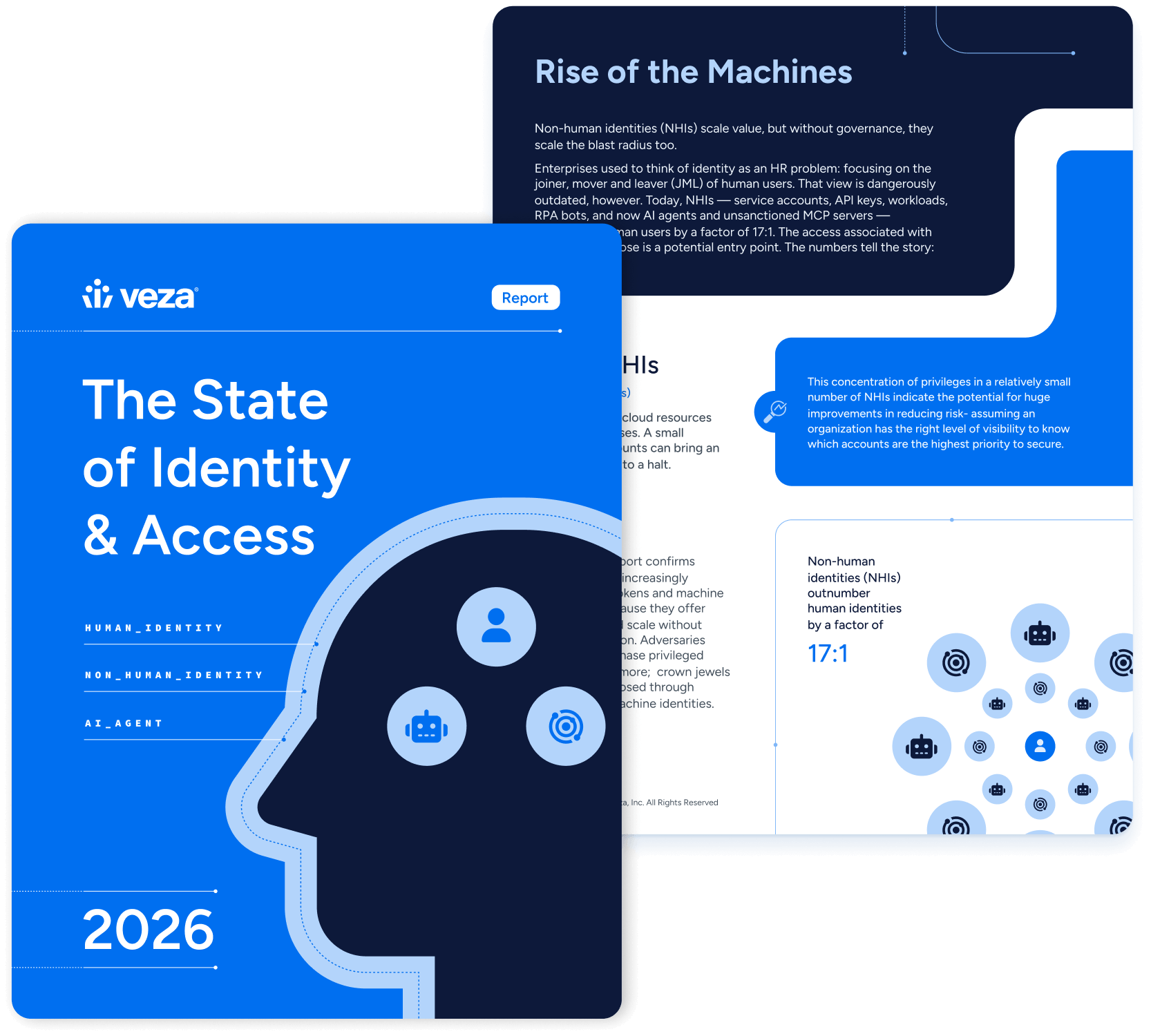 Veza - The Identity Security Platform